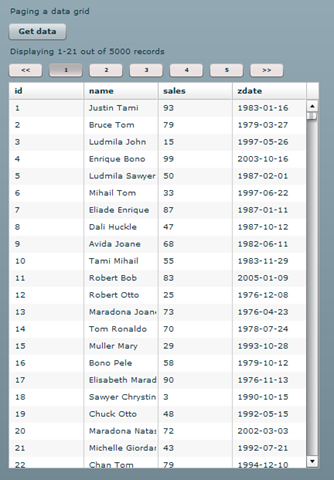 [Flex] DataGrid with pagination, paginate component, paginator : 네이버 블로그